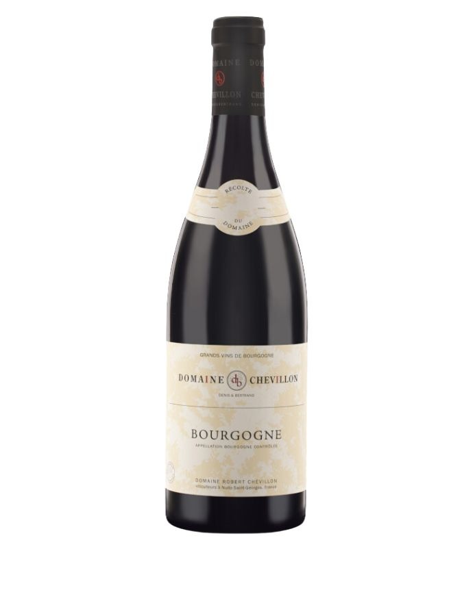 Robert Chevillon Bourgogne Rouge 2023 | Prince Wine Store
